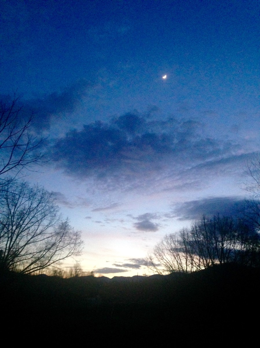 Condem(nation) – April Fox